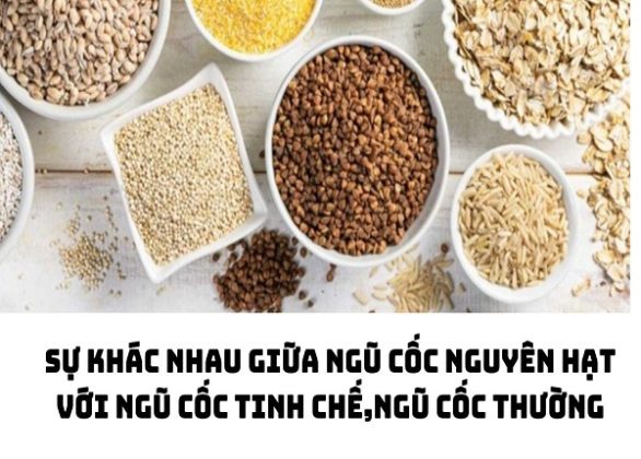Sự khác nhau giữa ngũ cốc nguyên hạt với ngũ cốc tinh chế và ngũ cốc thường